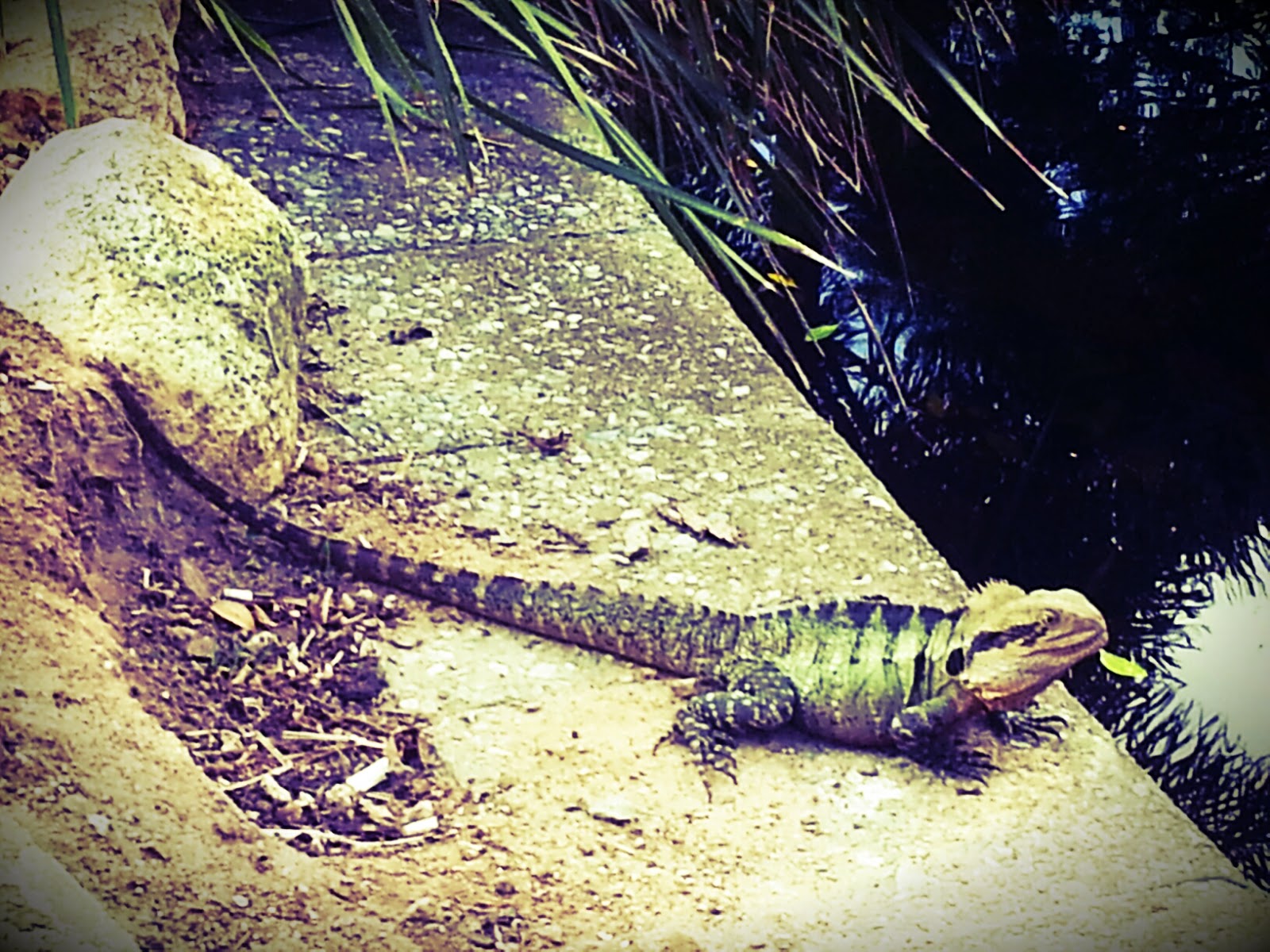 Data free Friday - Sam Searle